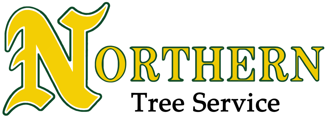 Home - Northern Tree Service