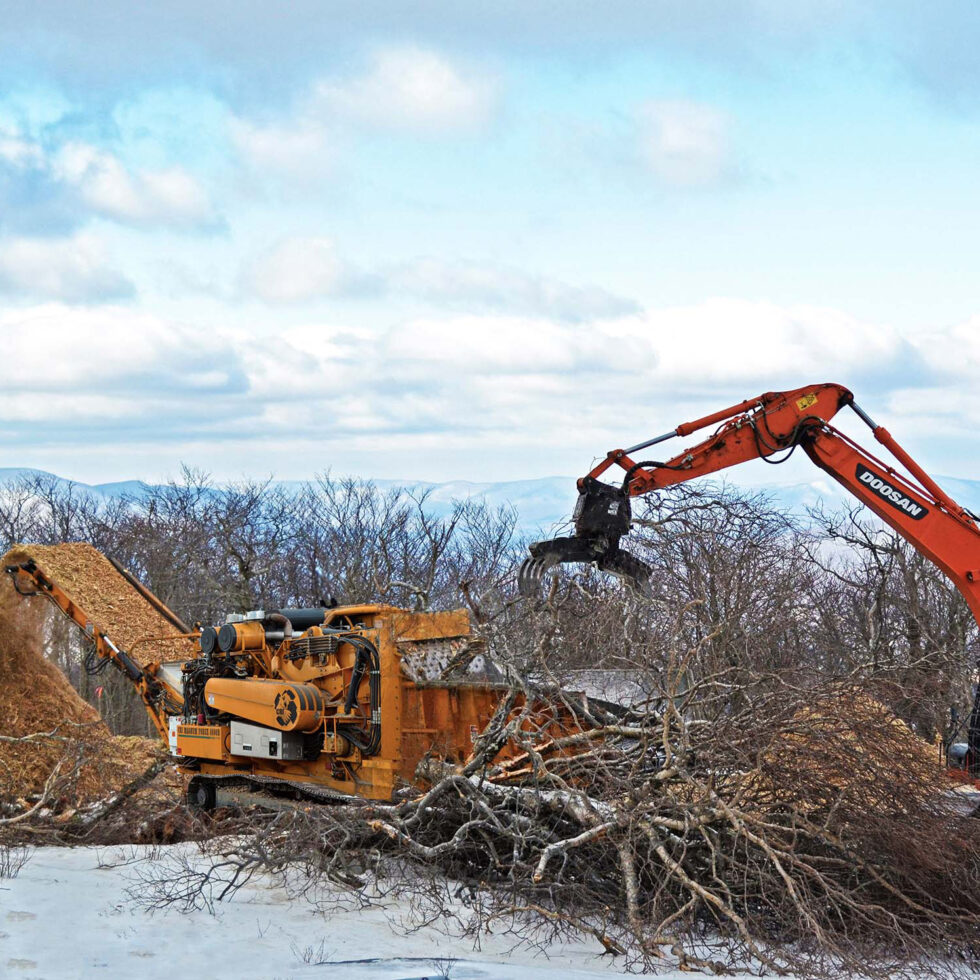 Home - Northern Tree Service