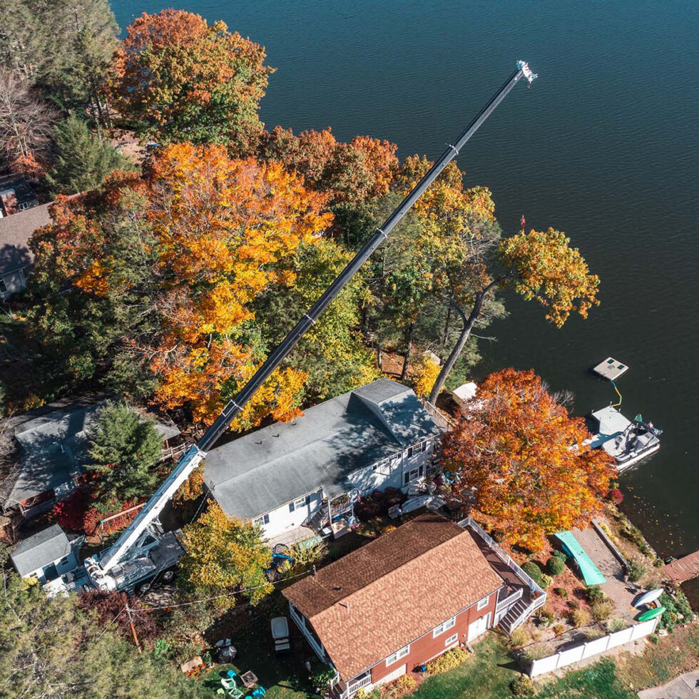 Home - Northern Tree Service