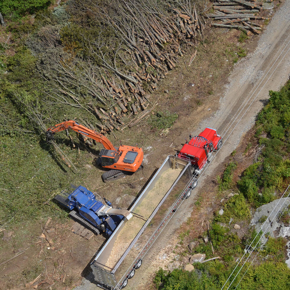 Home - Northern Tree Service