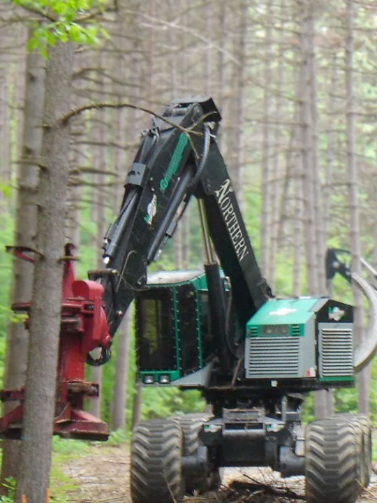 About - Northern Tree Service