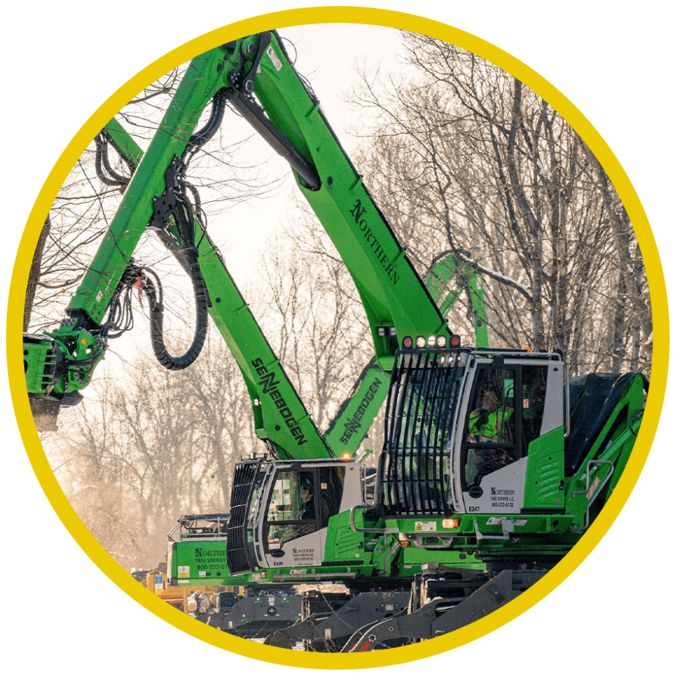Home - Northern Tree Service