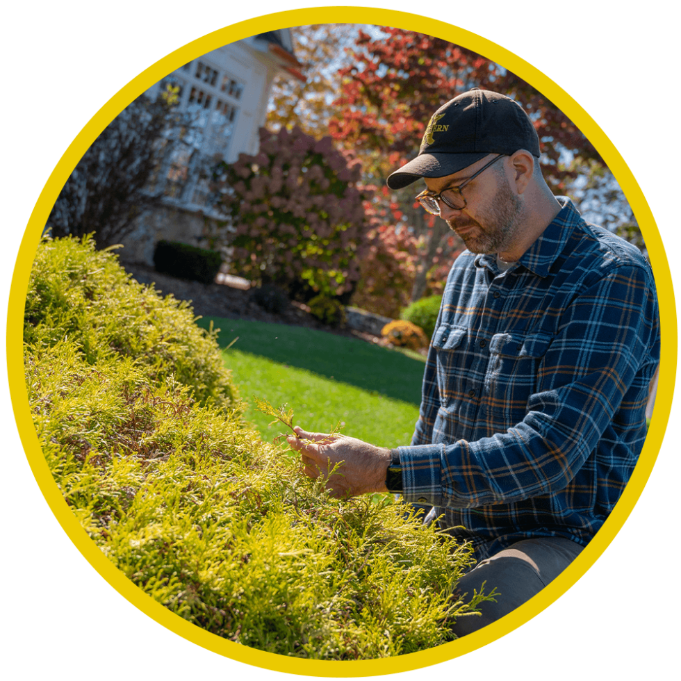 Home - Northern Tree Service