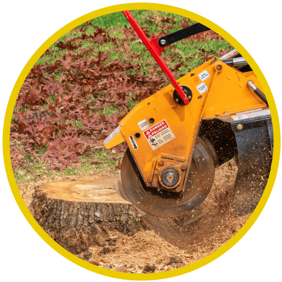Home - Northern Tree Service