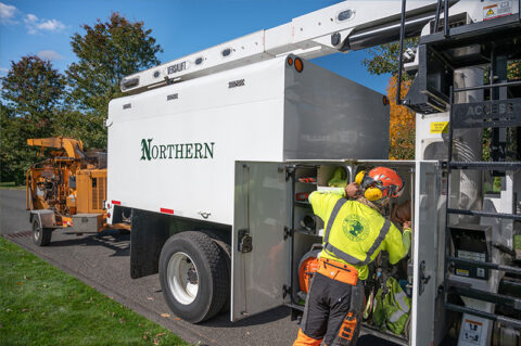 Home - Northern Tree Service